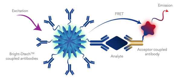 TR-FRET Assay Principle - Poly-Dtech