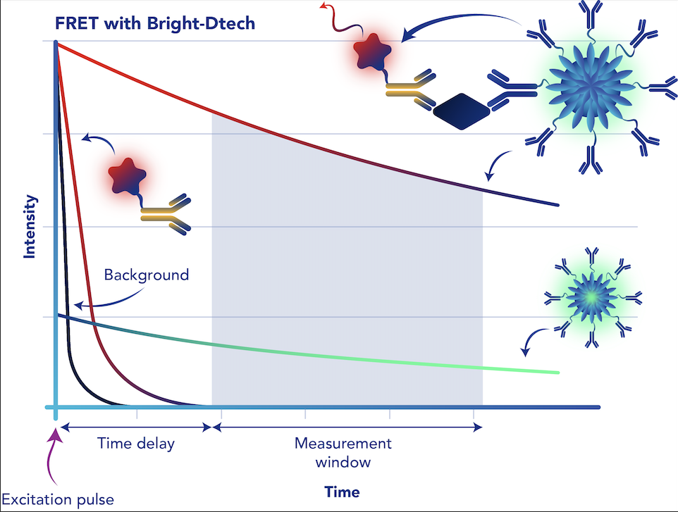 NoW-Dtech™ - TR-FRET Assay Kit Human IgM - Poly-Dtech