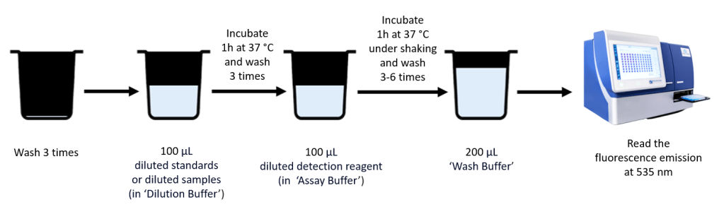 FLISA-Dtech™ - FLISA Assay Kit Human - SARS-CoV-2 N protein IgG ...