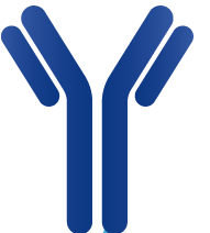 Antibodies & Kits - Poly-Dtech