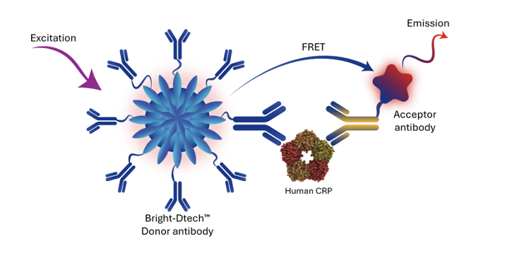 NoW-Dtech™ - TR-FRET Assay Kit Human CRP - Poly-Dtech