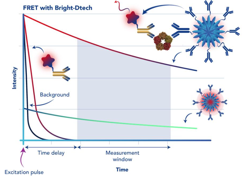 NoW-Dtech™ - TR-FRET Assay Kit Human CRP - Poly-Dtech